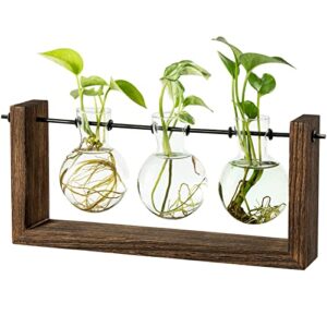 yangbaga plant propagation stations terrarium glass planter with wooden stand 3 bulb vases for hydroponics indoor office desk home decor, plant holder gifts