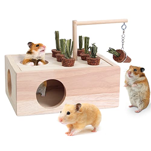 HOORITO Wooden Hamster House,2-in-1 Hamster Hideout House & Chew Toys,Multi-Room Tunnel Exploring Toys for Gerbils Syrian Dwarf Mouse,Small Animal House Habitats Decor for Hamster