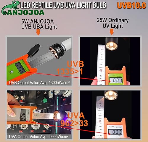 ANJOJOA UVB Reptile Light Bulb LED 6-Watt High UVB UVA Output 10.0 Bulb Reflection Dome Structure PSE Certification for Bearded Dragons Lizards Leopard Geckos Tortoises