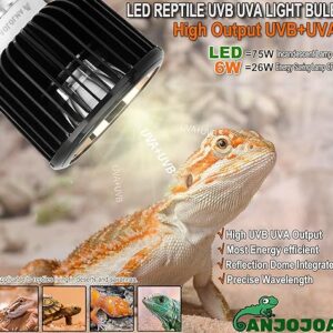 ANJOJOA UVB Reptile Light Bulb LED 6-Watt High UVB UVA Output 10.0 Bulb Reflection Dome Structure PSE Certification for Bearded Dragons Lizards Leopard Geckos Tortoises