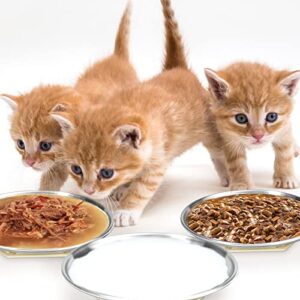 Stainless Steel Cat Dishes for Food and Water Bowls for Small Pets Relief of Whisker Fatigue -2 Sets Shallow Style