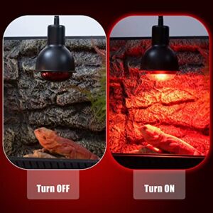 Makmzoon 2 Pack 100W Reptile Heat Lamp Bulb UVA Basking Spot Heat Lamp Reptile Light Tortoise Light Turtle Bulb for Animals Bearded Dragon