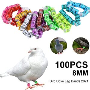 ZBOYZ 2023 Pigeon Ring/Dove Rings Multicolor Aluminium Pigeon Leg Rings Dove Leg Rings Identify Bands Plastic with 100 AU Training Identify Birds Foot Ring, Quality Durable Bird Toys (AU, Blue)