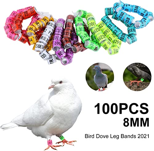 ZBOYZ 2023 Pigeon Ring/Dove Rings Multicolor Aluminium Pigeon Leg Rings Dove Leg Rings Identify Bands Plastic with 100 AU Training Identify Birds Foot Ring, Quality Durable Bird Toys (AU, Blue)