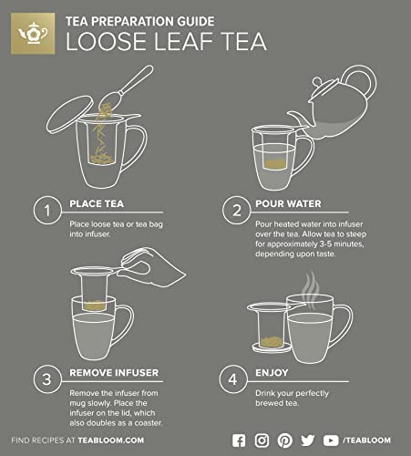 Teabloom Double-Wall Heatproof Glass Mug with Stainless Steel Infuser and White Lid – 15 OZ / 430 ML – 2 Blooming Teas Included