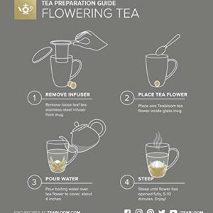 Teabloom Double-Wall Heatproof Glass Mug with Stainless Steel Infuser and White Lid – 15 OZ / 430 ML – 2 Blooming Teas Included