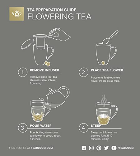 Teabloom Double-Wall Heatproof Glass Mug with Stainless Steel Infuser and White Lid – 15 OZ / 430 ML – 2 Blooming Teas Included