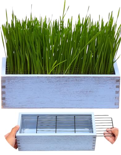 BENPIN Wooden Cat Grass Planter (no Seeds Included) with Potting Soil Disks, Anti Digging Grid and Removable Plastic Liner, Wheat Grass Growing Pot, Cat Grass Kit for Indoor Cats Pets (Amber Blue)