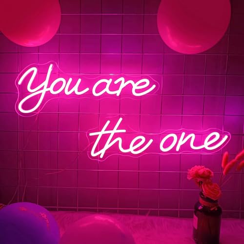 You are the one Neon Sign with Dimmable LED Neon Night Wall Decor for Bedroom Decor, Home, Bar, Party, Club, Engagement, Girls Birthday Decor Neon Wall Light Pink