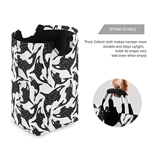 xigua Killer Whale Large Laundry Basket Hamper, Waterproof Collapsible Dirty Clothes Organizer Bag with Handles Laundry Storage Bins for Bathroom, College Dorms, Bedroom