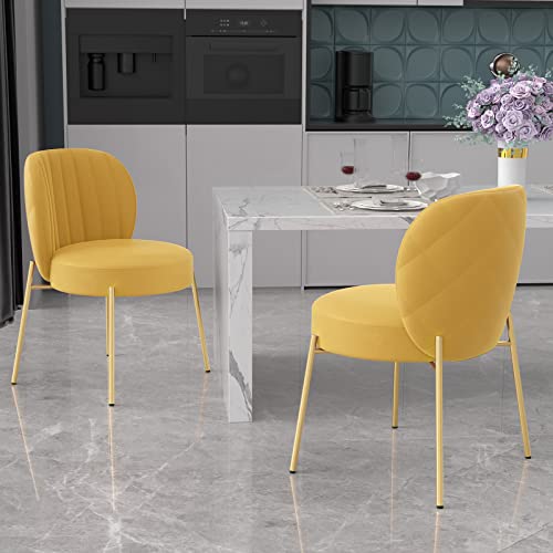 Sucrever Dining Chairs Set of 2, Upholstered Dining Chairs, Kitchen & Dining Room Chairs, Mid Century Modern Velvet Accent Chair with Gold Legs/Wide Seat for Dining Kitchen Living Room Bedroom, Yellow