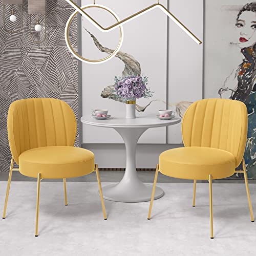 Sucrever Dining Chairs Set of 2, Upholstered Dining Chairs, Kitchen & Dining Room Chairs, Mid Century Modern Velvet Accent Chair with Gold Legs/Wide Seat for Dining Kitchen Living Room Bedroom, Yellow