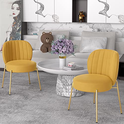 Sucrever Dining Chairs Set of 2, Upholstered Dining Chairs, Kitchen & Dining Room Chairs, Mid Century Modern Velvet Accent Chair with Gold Legs/Wide Seat for Dining Kitchen Living Room Bedroom, Yellow