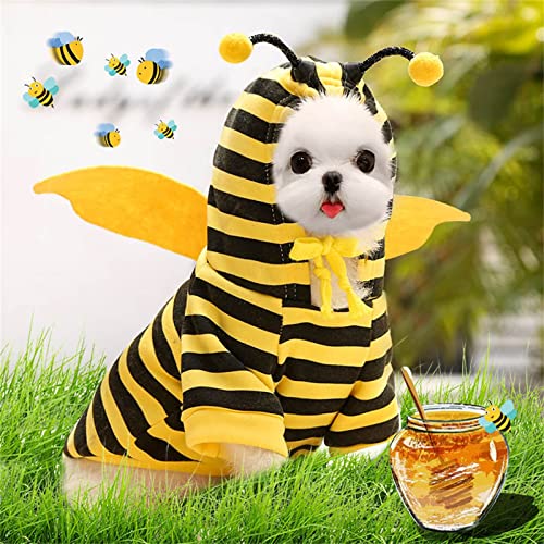 Pet Clothes for Medium Dogs Boys Pet Cartoon Bee Printing Sweater Dogs Cats Bee Sweater Set Bee Dressing Supplies Winter