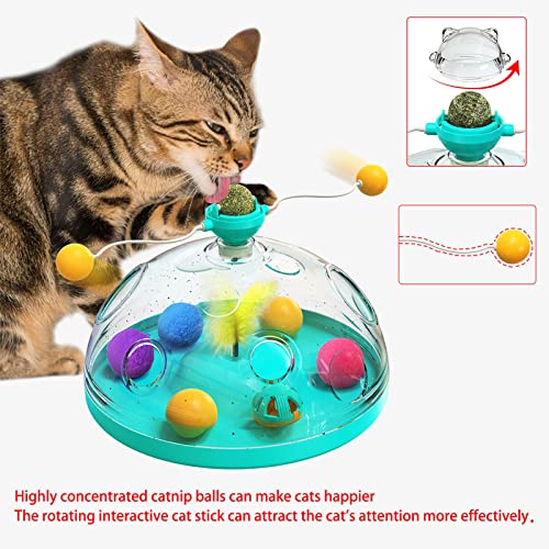 BOIWRCA Cat Toy, Indoor Cat Toy Treasure Chest, Most Loved Interactive Toys for Kittens, Multifunctional Educational Toys with Orbitballs, Feathers and Catnip, Fun Pet Gifts