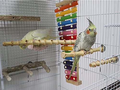 3 Pack Bird Perch Stand, Natural Bamboo Parrot Paw Grinding Toys, Bird Cage Accessories, Bird Paw Grinding for Small Birds Parrots Parakeets Cockatiels Conures Finches Love Birds