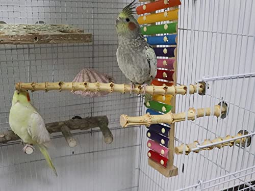 3 Pack Bird Perch Stand, Natural Bamboo Parrot Paw Grinding Toys, Bird Cage Accessories, Bird Paw Grinding for Small Birds Parrots Parakeets Cockatiels Conures Finches Love Birds