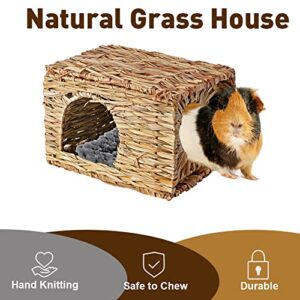 Abnaok Extra Large Grass House for Rabbits with Cotton Pads, Natural Grass Foldable Hut Small Animal Play Hideaway Bed Toys Hay Mat for Bunny Guinea Pig Chinchilla Ferret