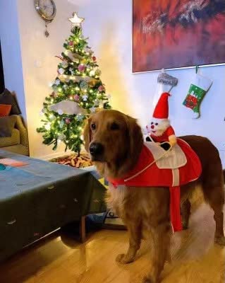 Santa Dog Costume Christmas, Puppy Clothes Santa Claus Riding Pet Outfit Winter Warm Vest Costumes, Pet Cosplay Costumes Party Dressing up Outfit for Small Medium Large Dogs and Cats (Medium)