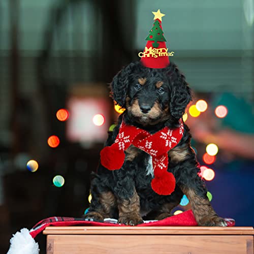 Do-Dottii Pet Christmas Hat Scarf Set Cat Santa with Scarf Dog Christmas Costume Antler with Star for Small Medium Dogs Cats Accessories Dog Costumes Holiday Party (Red)