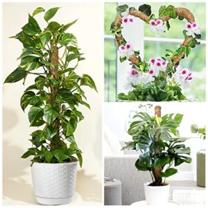 SMINDER Moss Pole for Plants Monstera, 2PCS 47.2 Inch Bendable Plants Stakes, Coco Coir Pole Potted Plants Support, Plant Sticks for Indoor Climbing & Growing Upwards