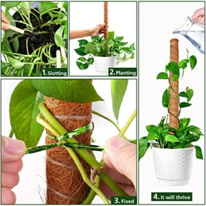 SMINDER Moss Pole for Plants Monstera, 2PCS 47.2 Inch Bendable Plants Stakes, Coco Coir Pole Potted Plants Support, Plant Sticks for Indoor Climbing & Growing Upwards