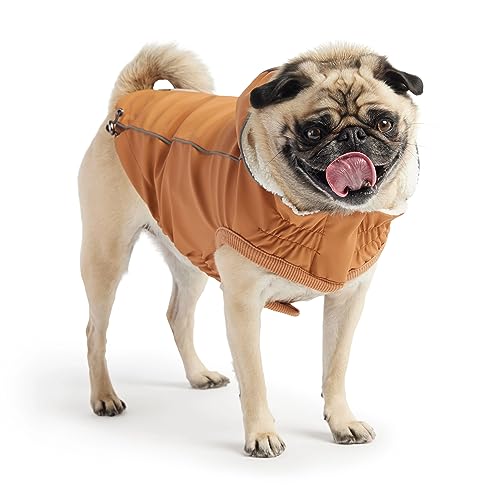 GF Pet Hazel Insulated Dog Raincoat, Medium