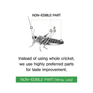 REPTQ Cricket+ Nutrients for Geckos - Protein, Lactic Acid, Vitamin D3 - Dried Insects for Crested/Leopard Gecko - High Calcium Cricket Diet Food - All Natural Gecko Food Munchies