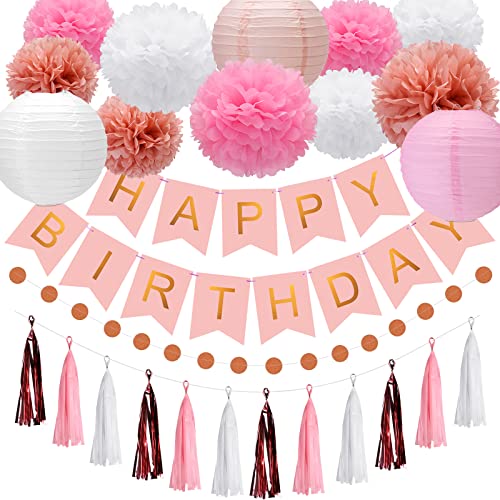 meowtastic Pink Birthday Party Decorations, Happy Birthday Banner with Tissue Pom Poms, Tassel Garland, Paper Lanterns, Circle Dot Garland, Pink and Rose Gold Happy Birthday Decoration for Women Girl