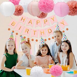 meowtastic Pink Birthday Party Decorations, Happy Birthday Banner with Tissue Pom Poms, Tassel Garland, Paper Lanterns, Circle Dot Garland, Pink and Rose Gold Happy Birthday Decoration for Women Girl