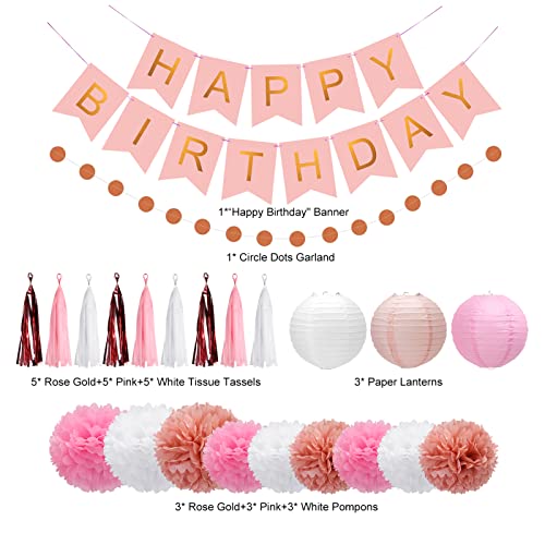 meowtastic Pink Birthday Party Decorations, Happy Birthday Banner with Tissue Pom Poms, Tassel Garland, Paper Lanterns, Circle Dot Garland, Pink and Rose Gold Happy Birthday Decoration for Women Girl