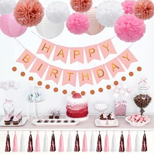 meowtastic Pink Birthday Party Decorations, Happy Birthday Banner with Tissue Pom Poms, Tassel Garland, Paper Lanterns, Circle Dot Garland, Pink and Rose Gold Happy Birthday Decoration for Women Girl