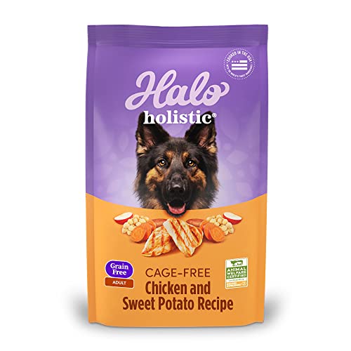 Halo Holistic Adult Dog Grain Free Cage-Free Chicken & Sweet Potato Recipe 3.5 lb Bag