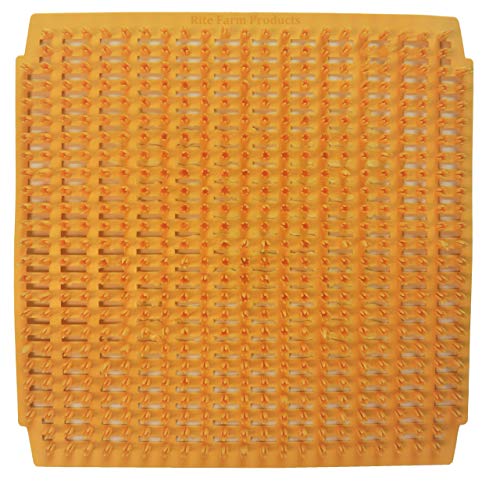 Rite Farm Products 24 Pack of Washable Poly Nesting Box Pads MAT Bottom for Chicken COOP Hen House Poultry NEST PAD