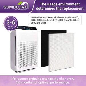 115115 replacement Filter for Winix Air Purifier C535 Filter A, 2 True HEPA(H13) Filter + 8 Activated Carbon Filters （2 Sets-A Total of 10）