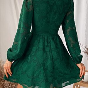 CUPSHE Women's Lace Mini Dress Long Sleeve Floral Print A Line Dress for Party Bodycon Dress