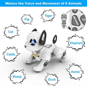 Remote Control Robot Dog Toy, Programmable Smart Interactive Robotic Pets, RC Stunt Robot Toys Dog Imitates Animals Music Dancing Handstand Push-up Follow Functions for Kids Boys Girls