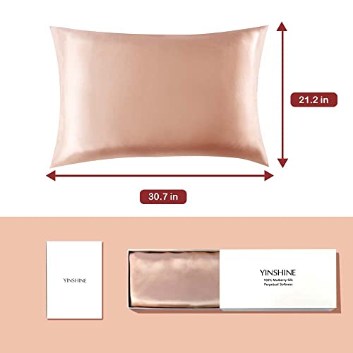 Silk Pillowcase, 100% Mulberry Silk 22 Momme Both Sides Silk Pillow Cases Standard Size for Hair and Skin with Gift Box, 1 Pc (Queen, Champagne)