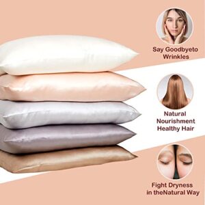 Silk Pillowcase, 100% Mulberry Silk 22 Momme Both Sides Silk Pillow Cases Standard Size for Hair and Skin with Gift Box, 1 Pc (Queen, Champagne)