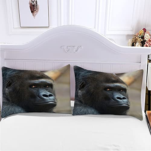 Quilt Cover Twin Size Gorilla 3D Bedding Sets Animal Duvet Cover Breathable Hypoallergenic Stain Wrinkle Resistant Microfiber with Zipper Closure,beding Set with 2 Pillowcase