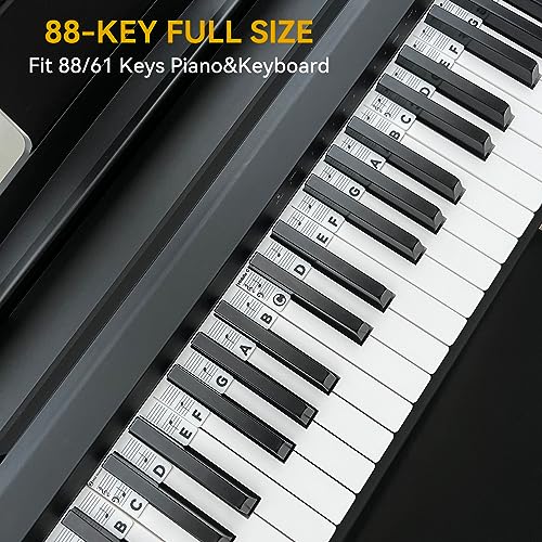 BEATBIT Piano Notes Guide for Beginner, Removable Piano Keyboard Note Labels for Learning, 88-Key Full Size, Made of Silicone, No Need Stickers, Reusable and Comes with Box (Classic Black）