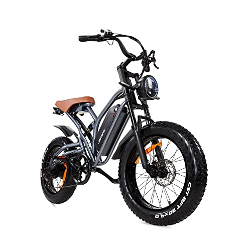 JANSNO Electric Bike 20" x 4.0 Electric Bike for Adults with 750W Brushless Motor, 48V 12.8Ah Removable Battery, 7-Speed Transmission UL Certified