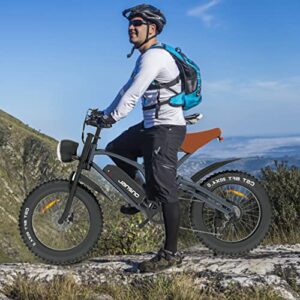 JANSNO Electric Bike 20" x 4.0 Electric Bike for Adults with 750W Brushless Motor, 48V 12.8Ah Removable Battery, 7-Speed Transmission UL Certified