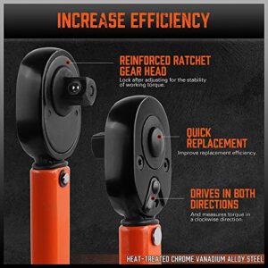 HORUSDY 1/2-Inch Drive Click Torque Wrench, 10~150 Ft-Lb | 13.6~203.5 Nm, Quick Release Ratchets.