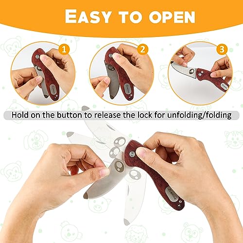 ZLemma Kids Pocket Folding Knife with Safety Rounded Tip, Made Of Japanese Stainless Steel and Rosewood, Children’s First Folding Knife With Sharp Blade