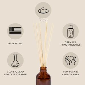 Sweet Water Decor Christmas Amber Reed Diffuser Set | Apple Cider, Cinnamon, Fresh Cut Christmas Tree, Cookies Scented Diffusers for Home | Christmas Gift | Air Freshener | Essential Oils | Home Décor