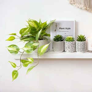 Kurrajong Farmhouse ArtificialTrailing Ivy pothos Plant with White Ceramic Pot | Light Green Faux Ivy Plant with White Pot | Shelf Decor Fake Plant