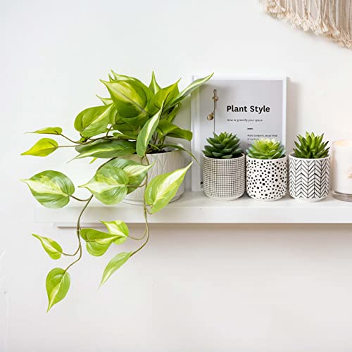 Kurrajong Farmhouse ArtificialTrailing Ivy pothos Plant with White Ceramic Pot | Light Green Faux Ivy Plant with White Pot | Shelf Decor Fake Plant