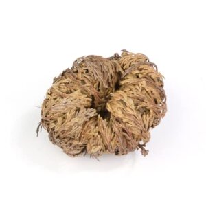 Yerbero - Jumbo Rose of Jericho Dried Flower 3.5'' - 6'' | Selaginella Lepidophylla | Resurrection Plant | Jumbo Size Dried Rose | Abundance, Prosperity, Sacred Rose, Doradilla Plant | 3.5'' - 6''