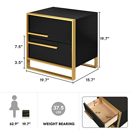 HERNEST Modern Nightstand Storage Cabinet with Solid Wood 2 Drawers Sofa Bedside End Table Glam Steel Frame Accent Furniture Without Assembly for Bedroom/Living Room/Salon/Office, Left Black